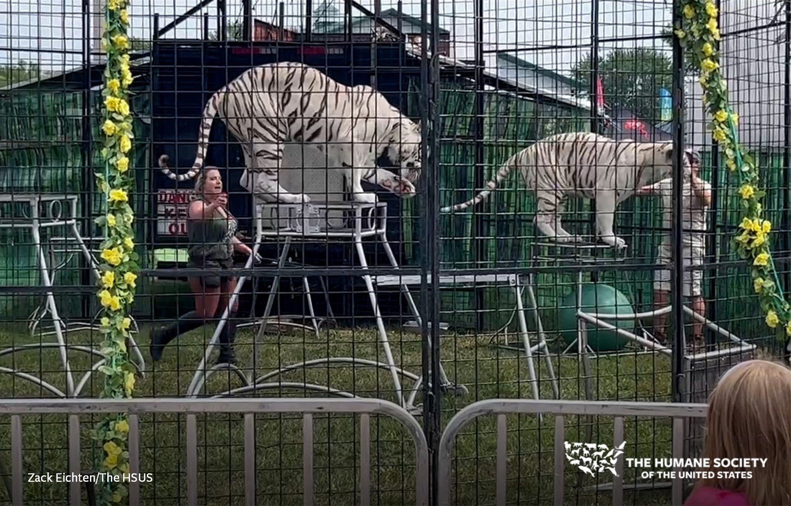 Ringling Bros. and Barnum & Bailey Circus Returns - Without Animals ...