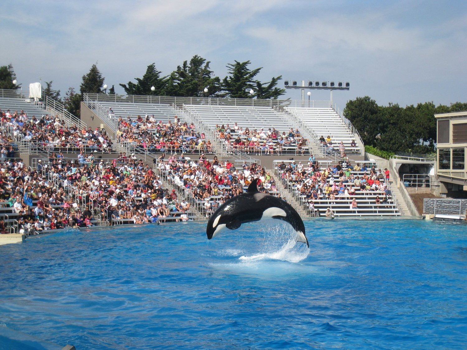 SeaWorld Opens Its First ‘Orca-Free’ Location - But Keeps Dolphins ...