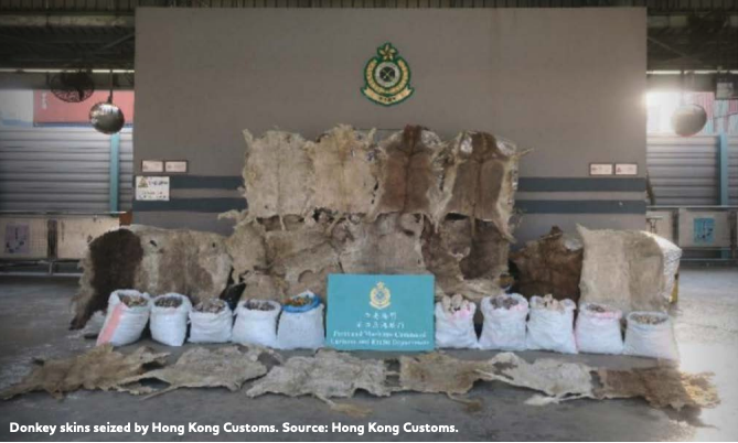 Petition Update: Illegal Donkey Skin Trade Being Fuelled by Facebook ...