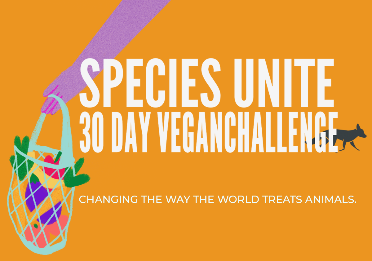 Campaigns — Species Unite