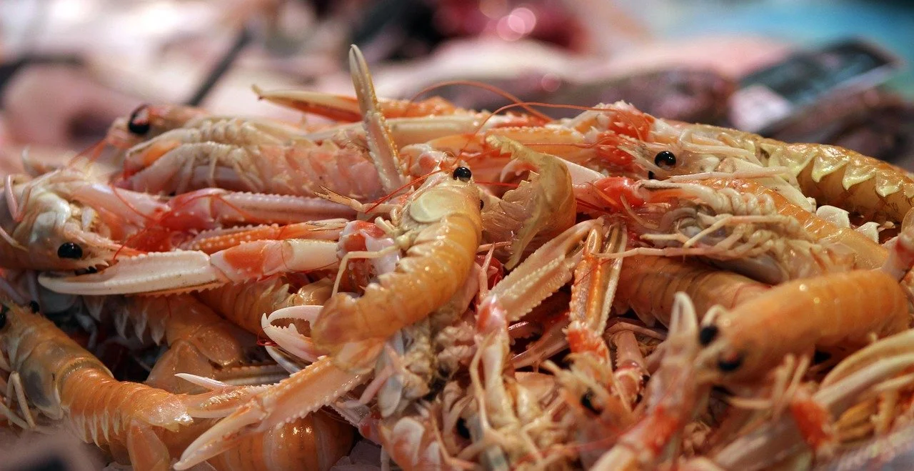 Prawns have their eye stalks cut off while still alive to speed up the ...