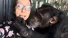 ‘Chimp Crazy’ figure Tonia Haddix sentenced to nearly 4 years in prison ...