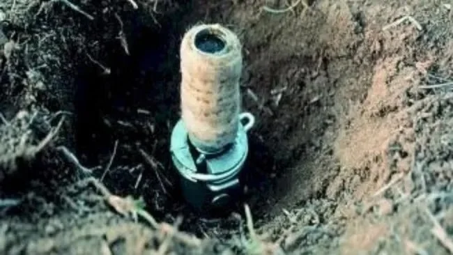 Cyanide bombs are back on America's public lands. Here's what that ...