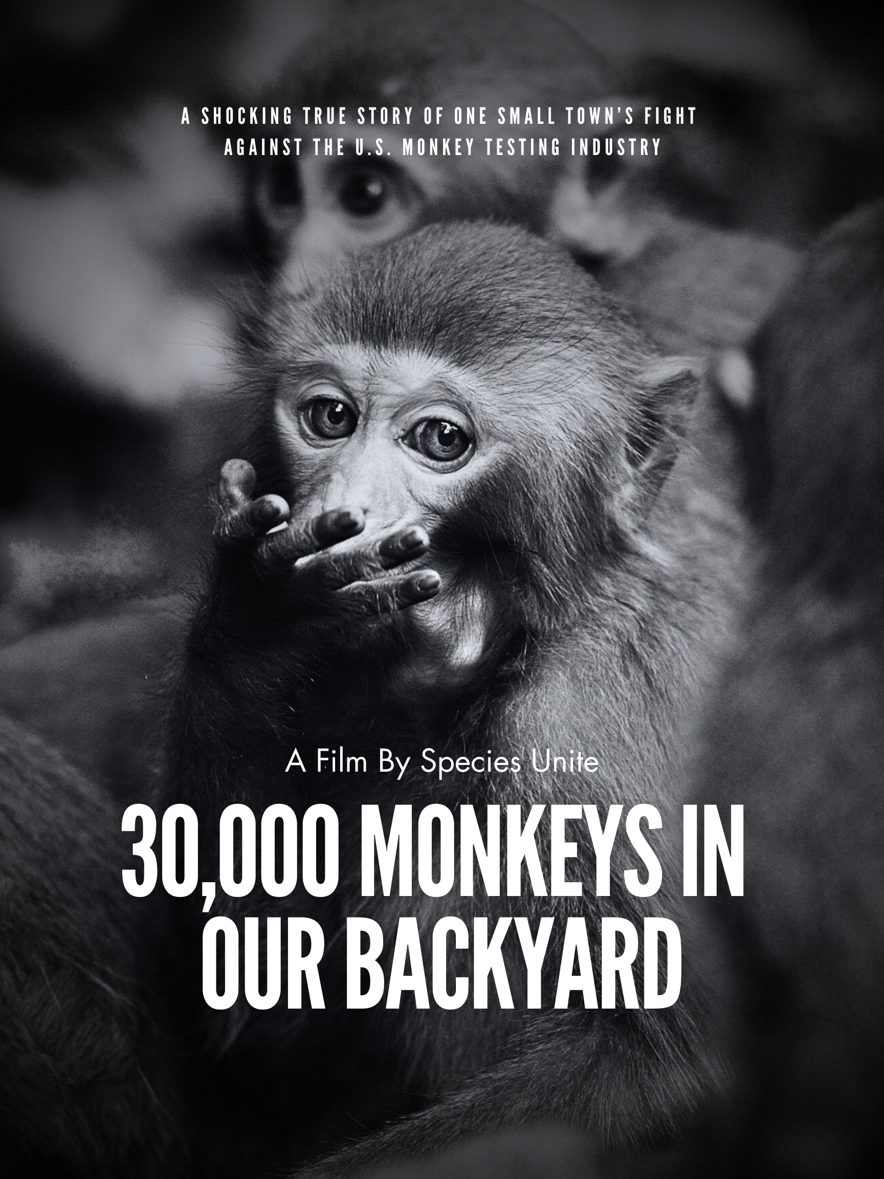 30,000 Monkeys in our Backyard | Join the Fight Against Animal Testing ...