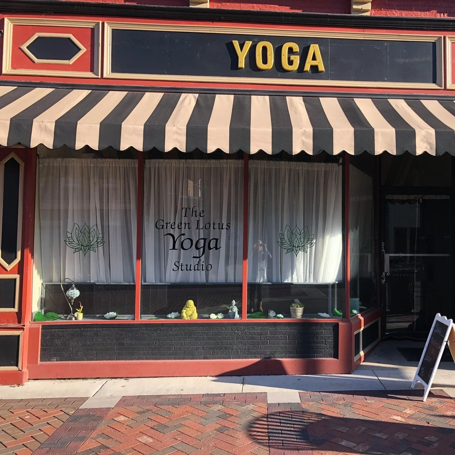 The Green Lotus Yoga Studio
