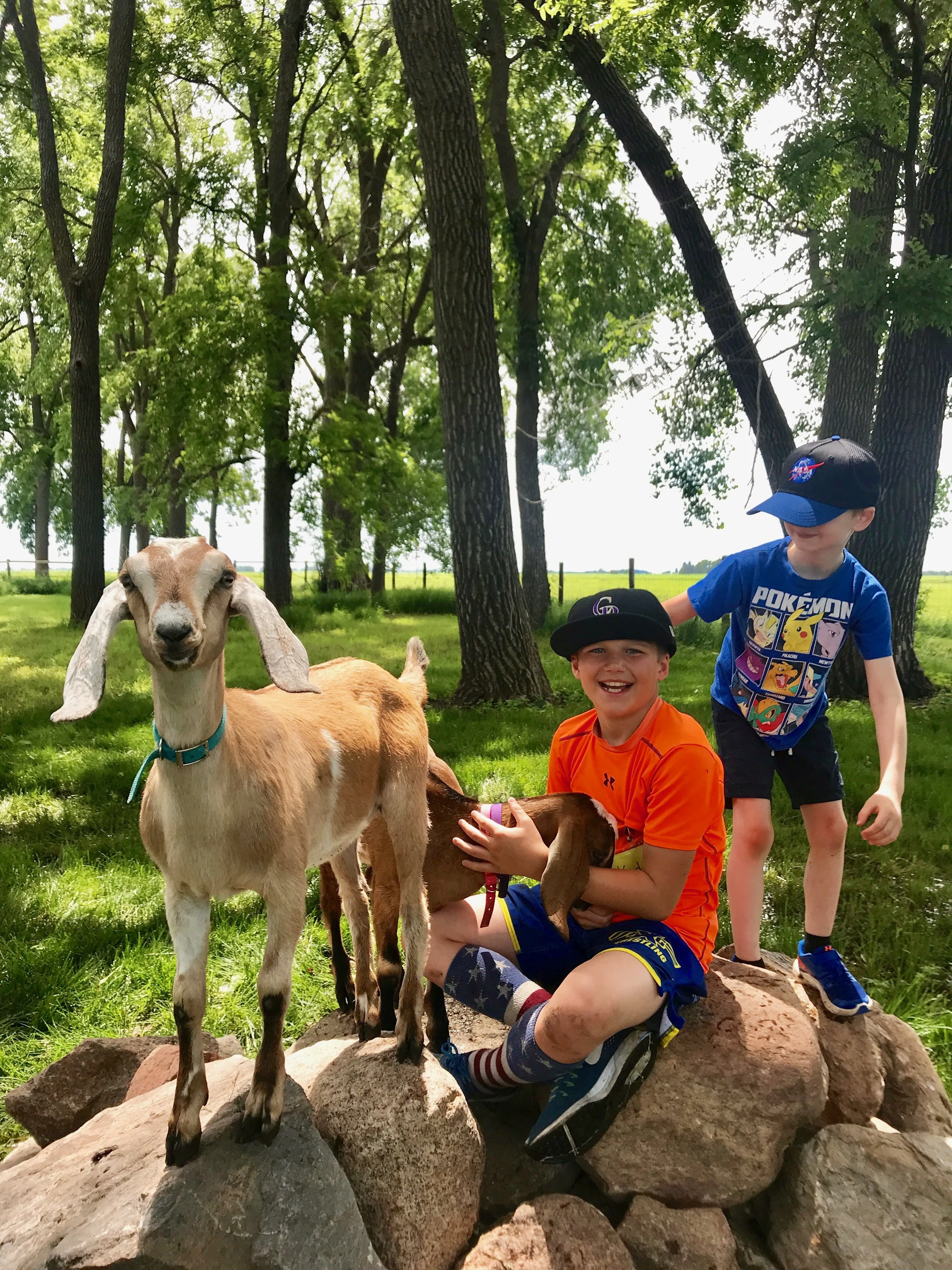 Ruby Ranch - Summer Camps