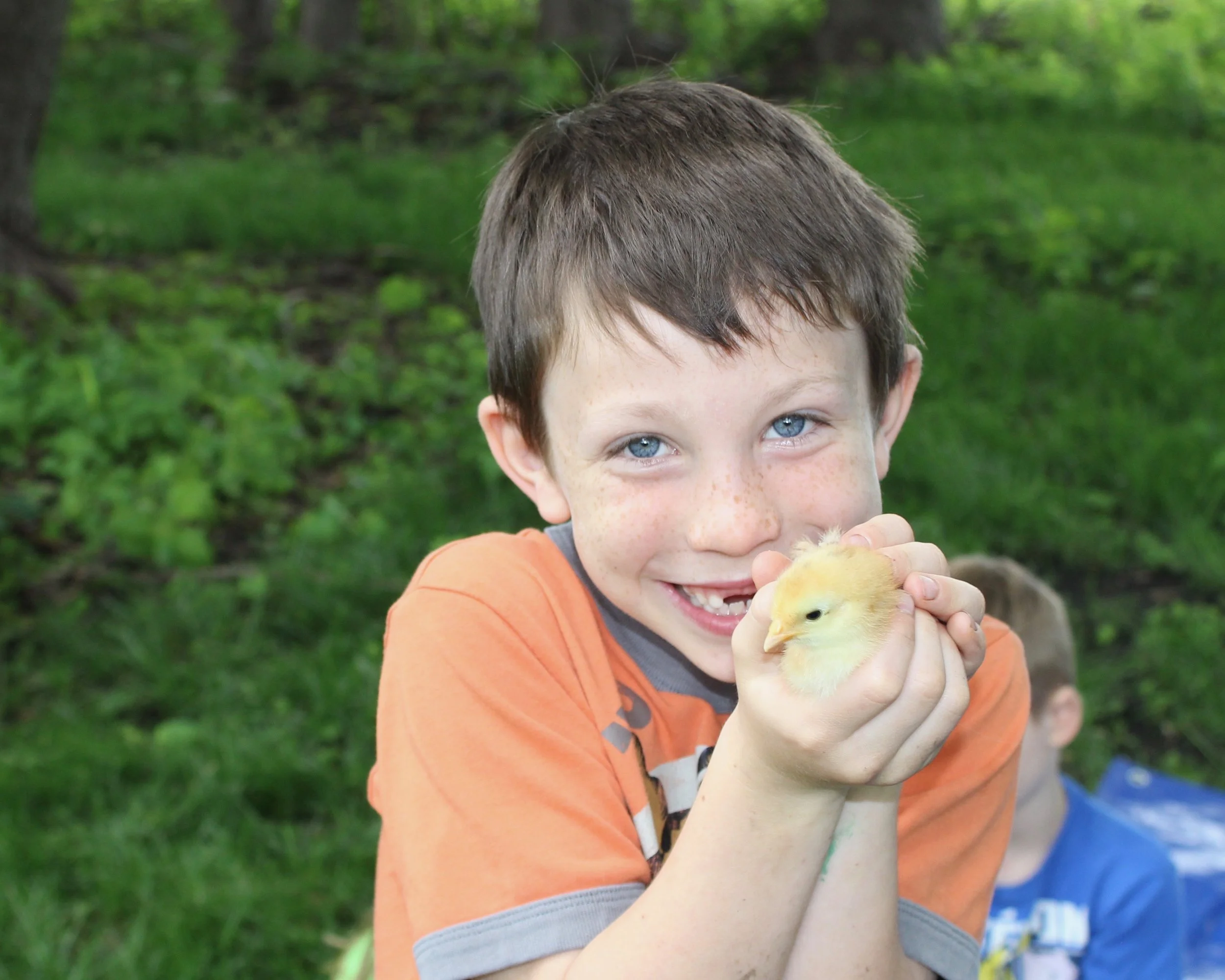 Ruby Ranch - Summer Camps