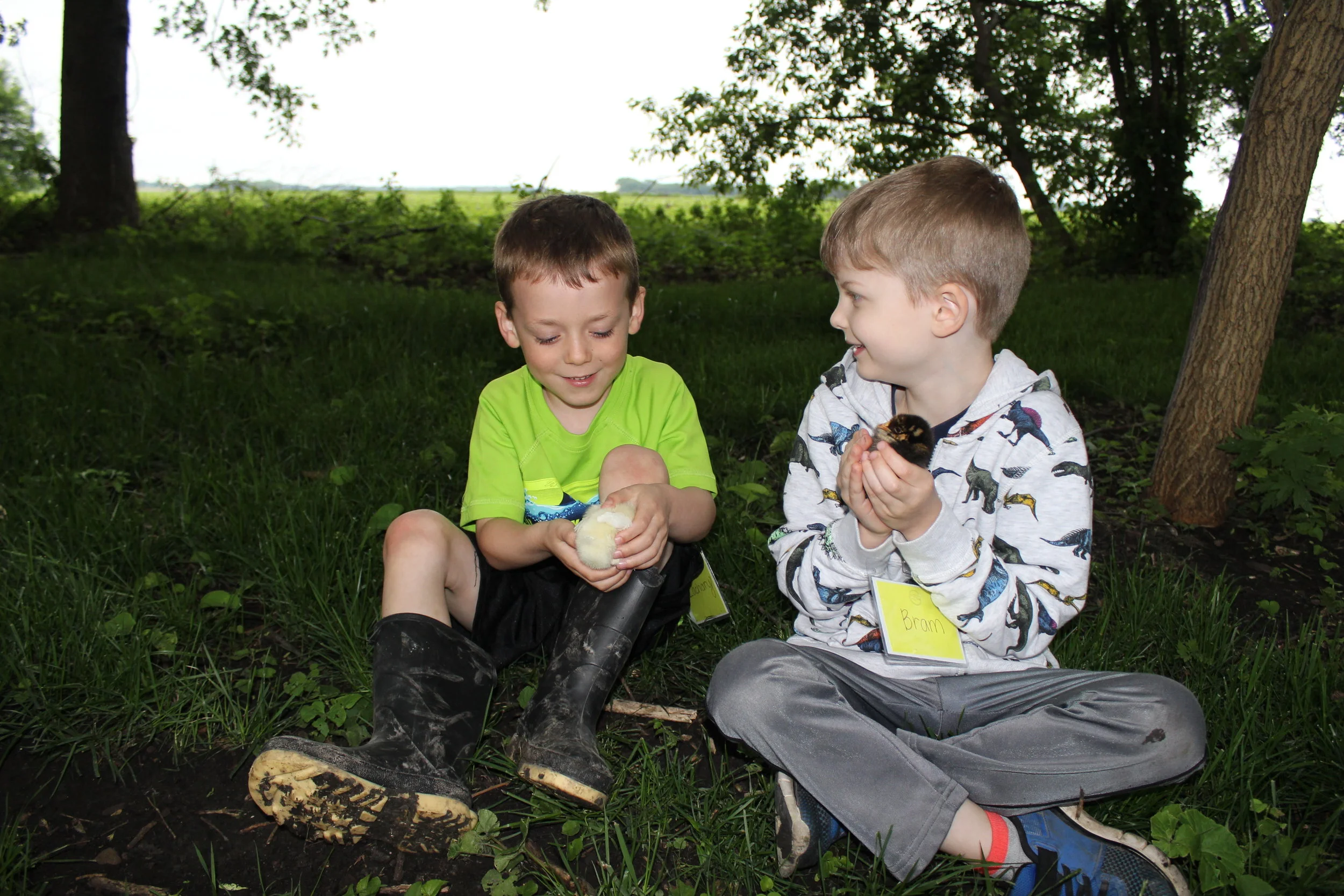 Ruby Ranch - Summer Camps
