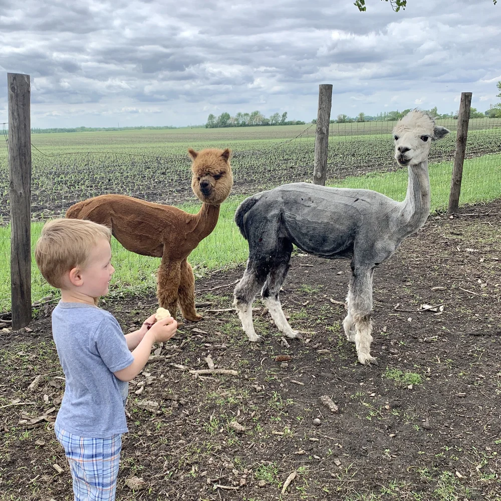 Ruby Ranch - Little Rubies Preschool