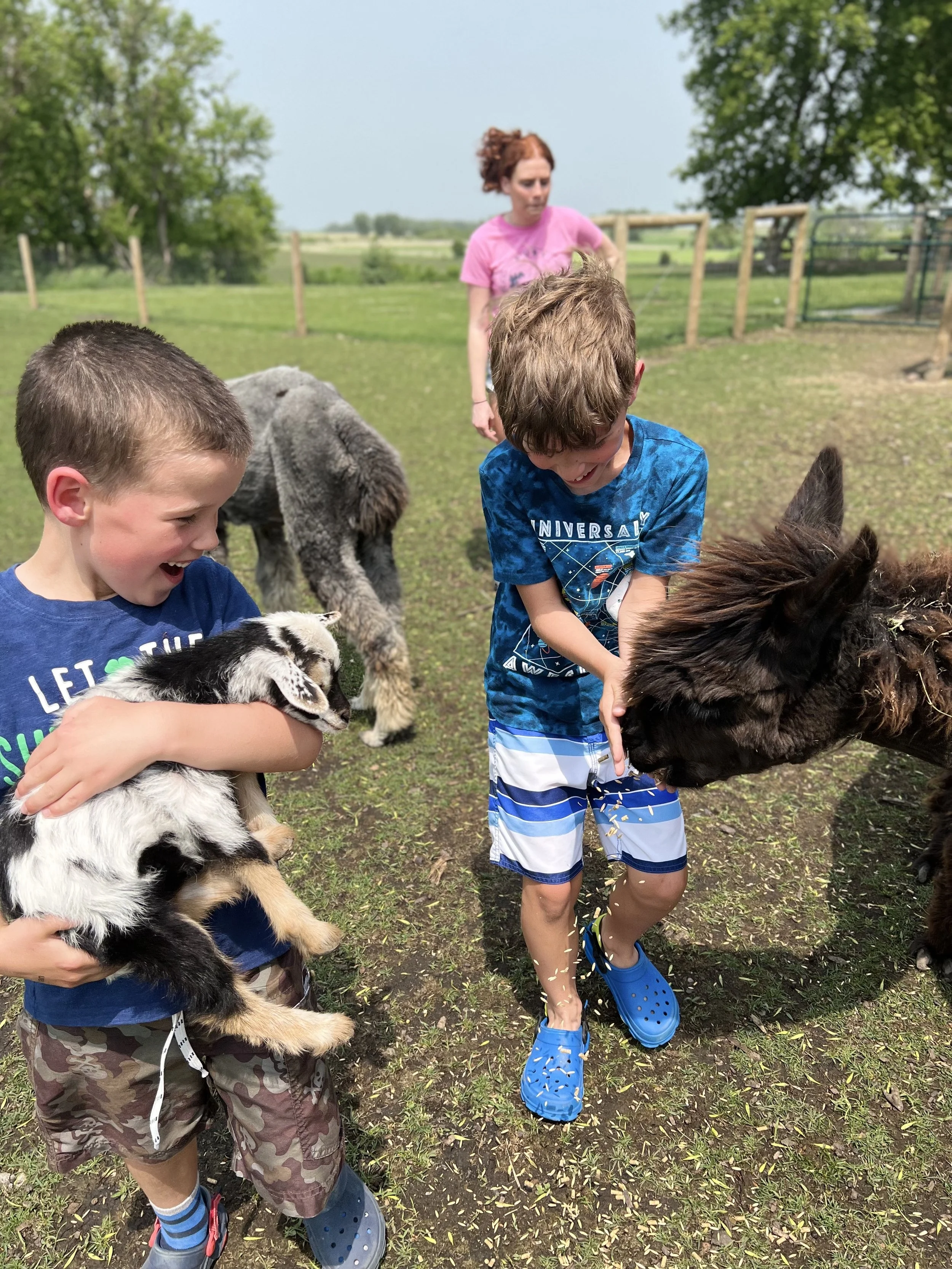 Ruby Ranch - Summer Camps
