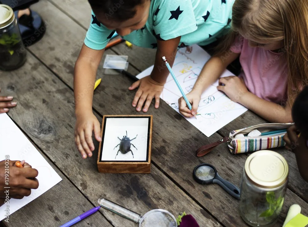 Ruby Ranch - Summer Camps