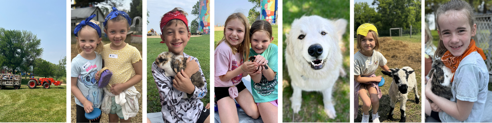 Ruby Ranch - Summer Camps