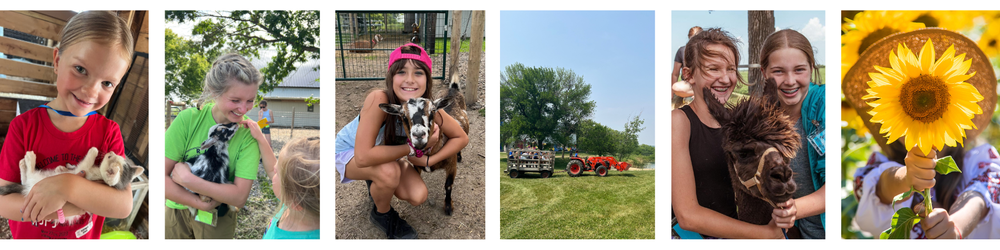 Ruby Ranch - Summer Camps