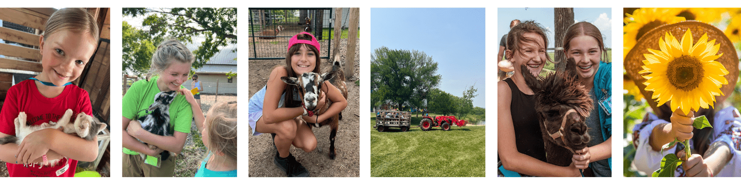 Ruby Ranch - Summer Camps