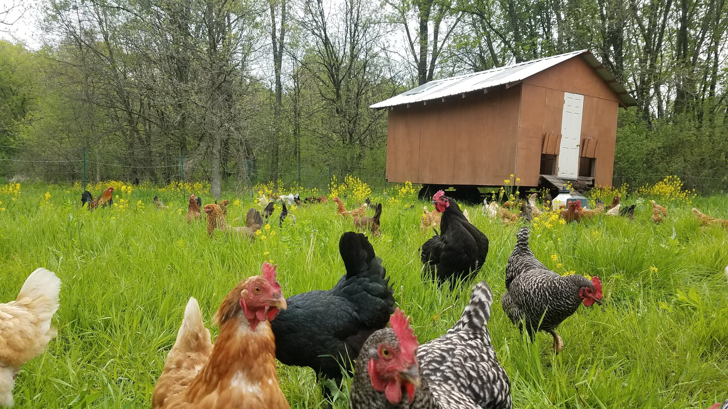 Solstice Farm | Home | Waverly, Iowa