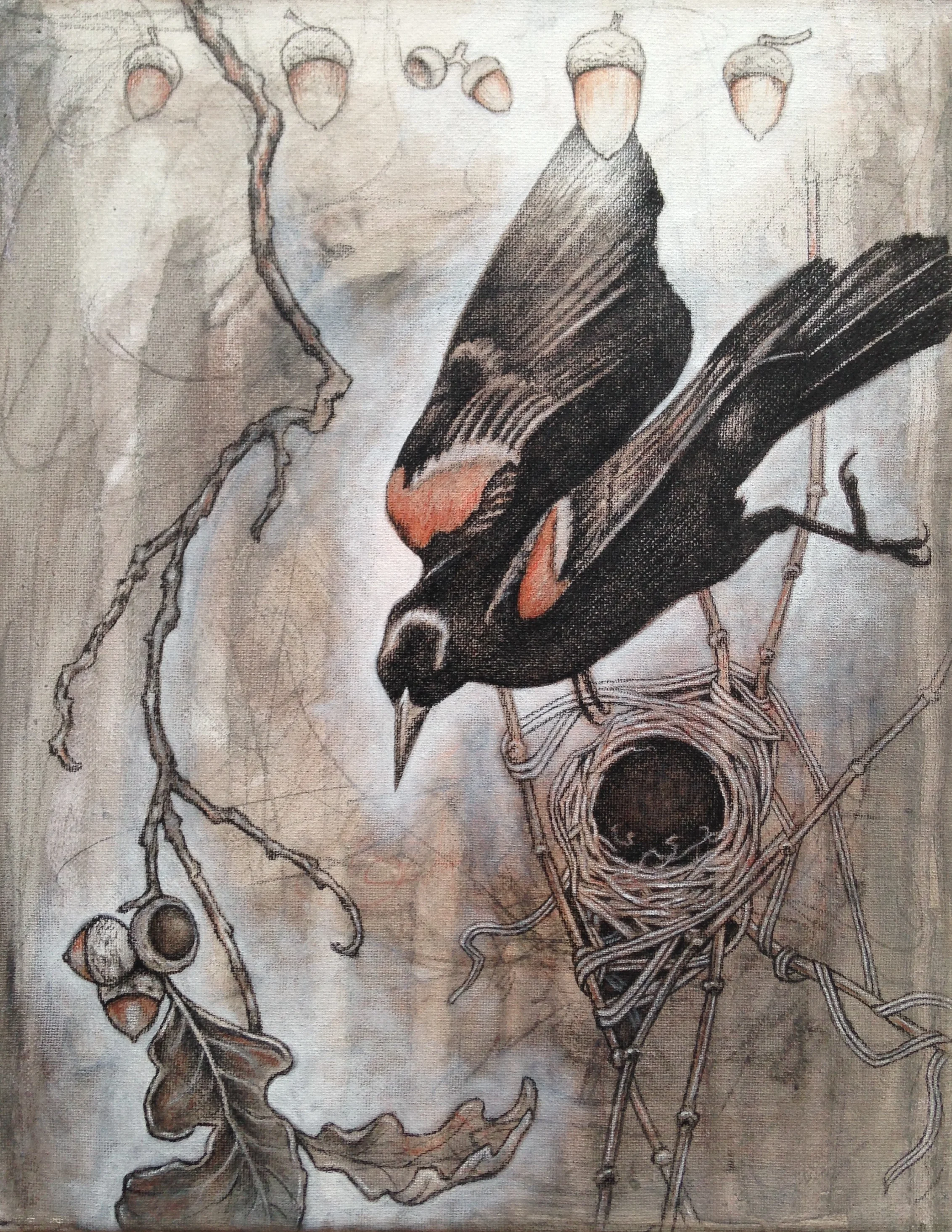 GALLERY — SHERI HOWE