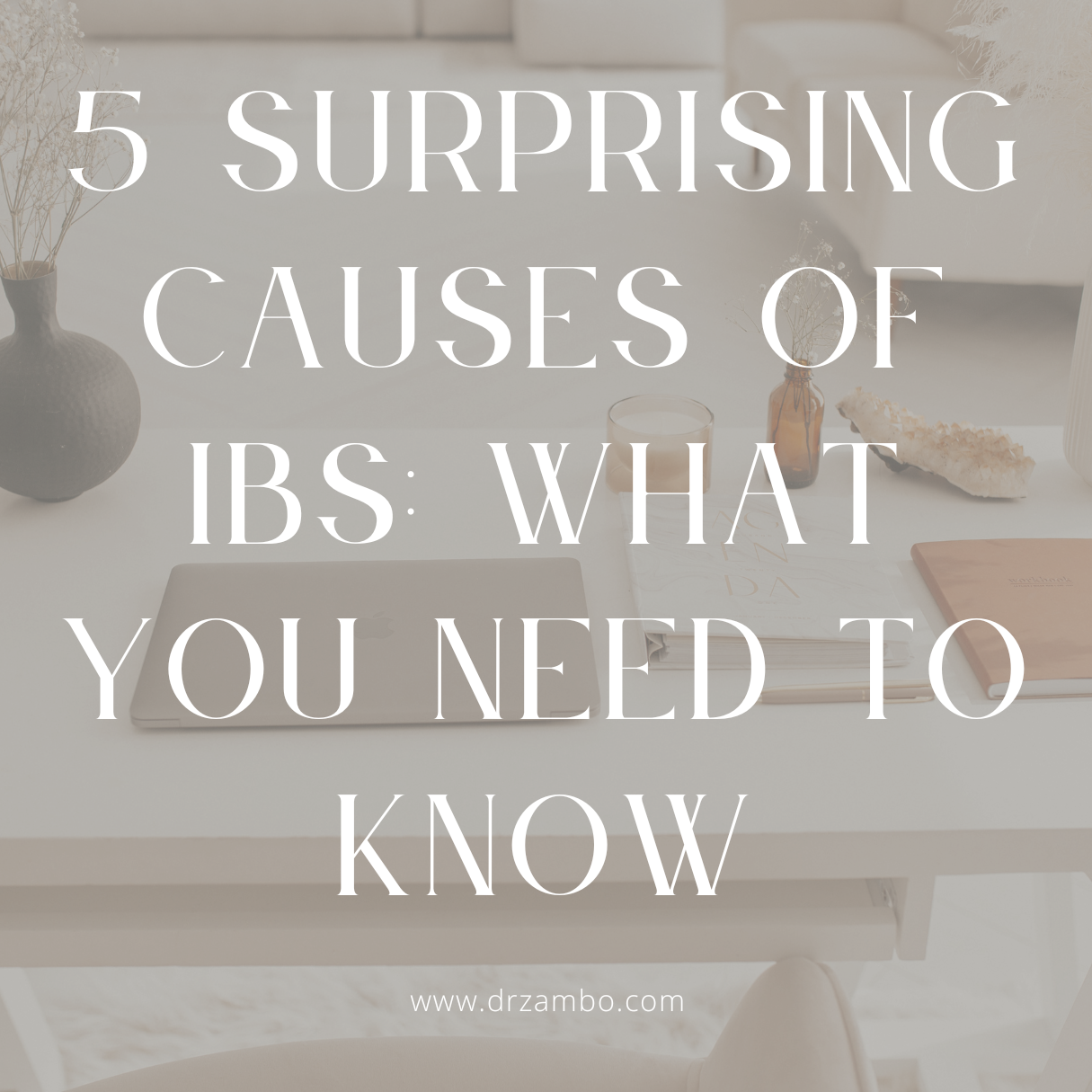 Blog | Gut, Hormonal, & Metabolic Health Insights | Dr. Renata Zambo, ND