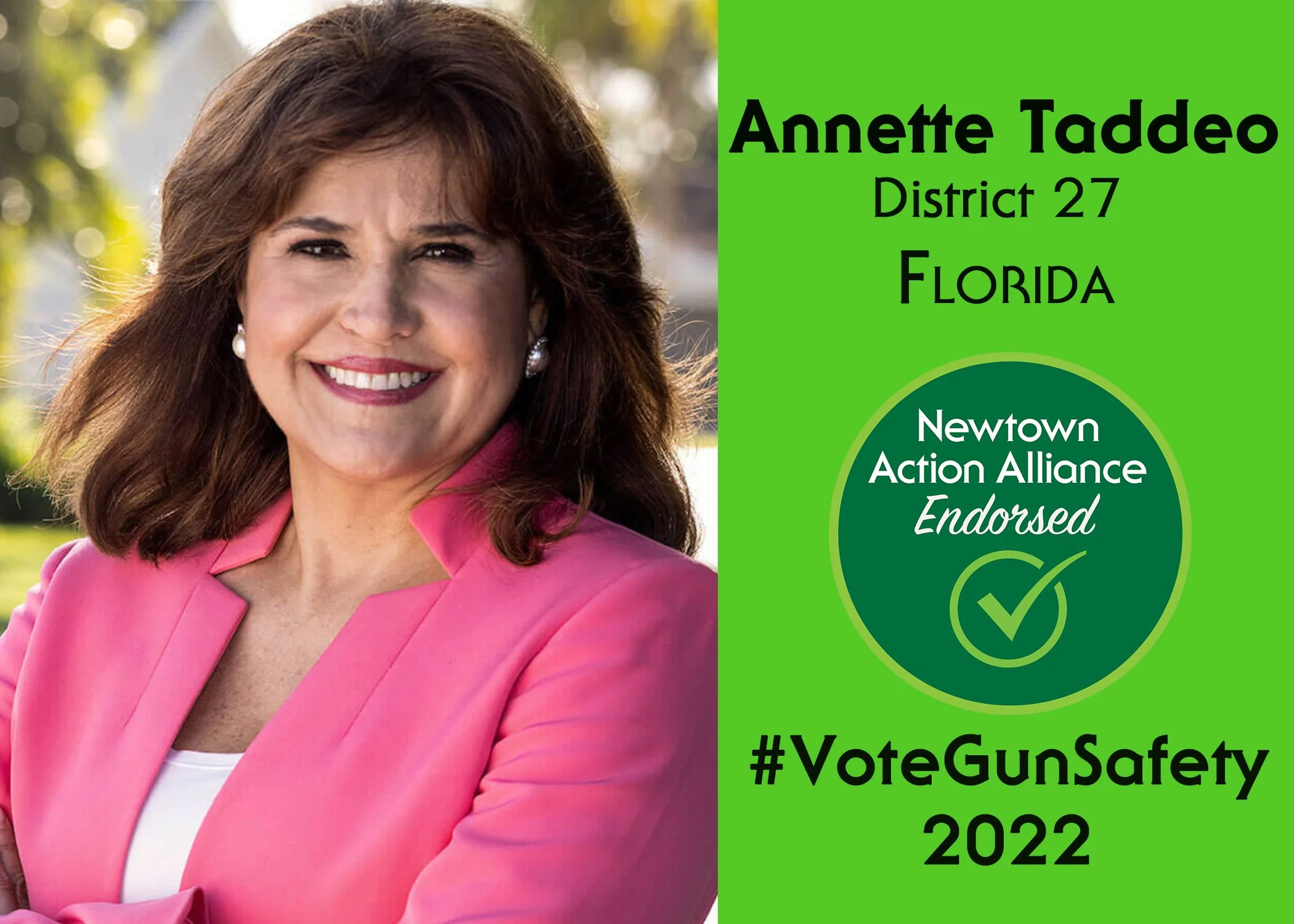 House of Representatives Challengers — Newtown Action Alliance