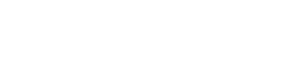 Team Leader Level 3 Apprenticeship — Learning Skills Partnership