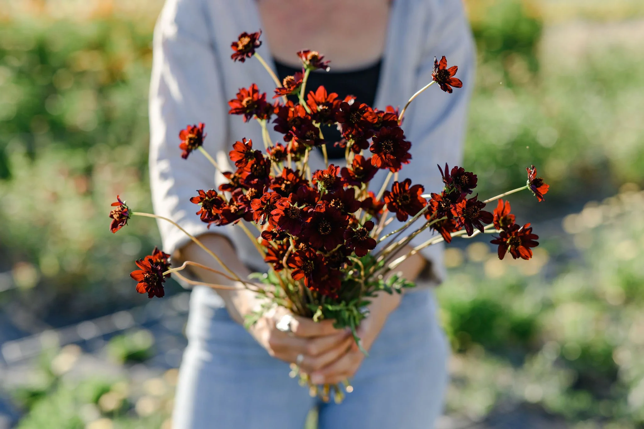 Summer Flower Share — Wasatch Blooms