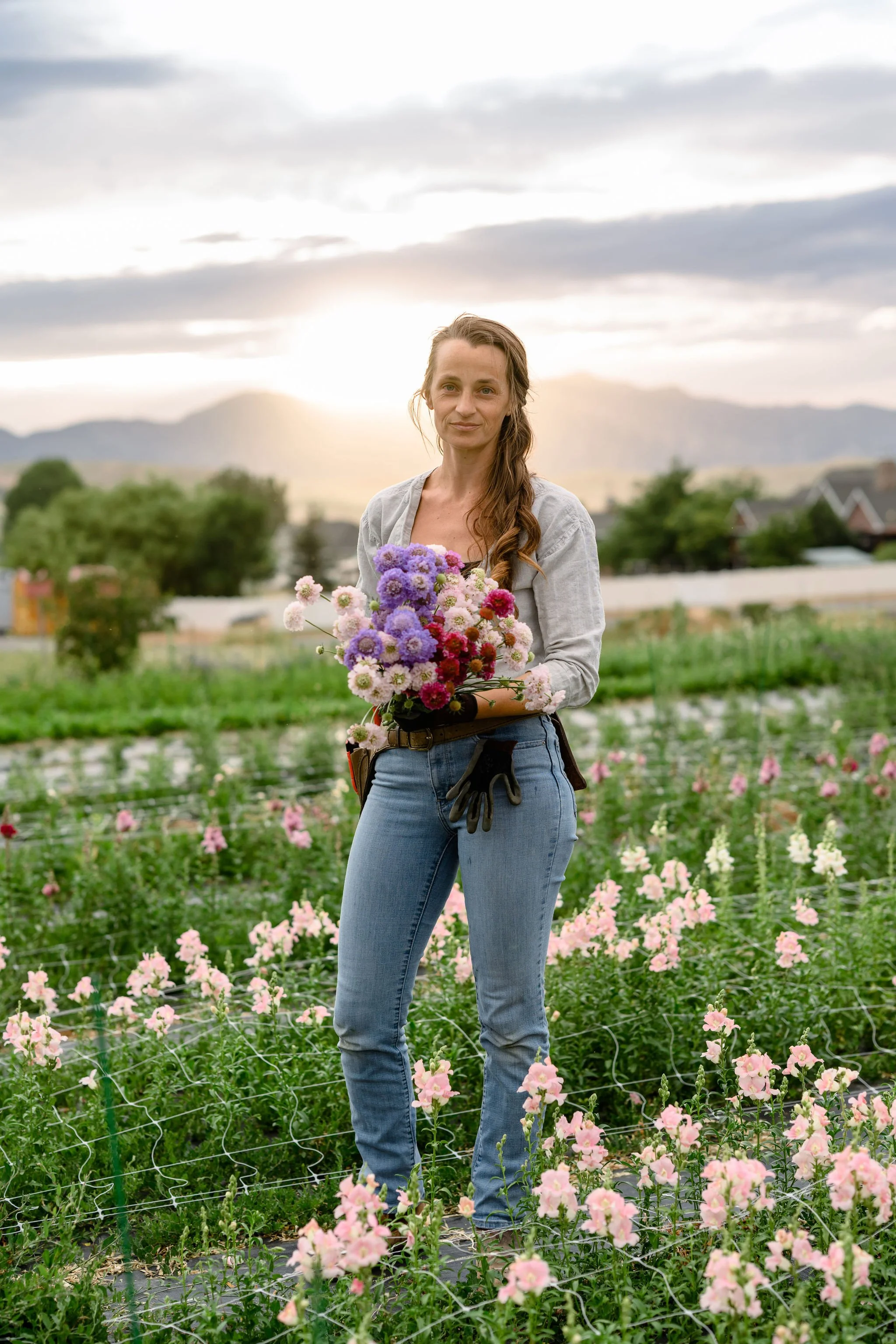 Summer Flower Share — Wasatch Blooms