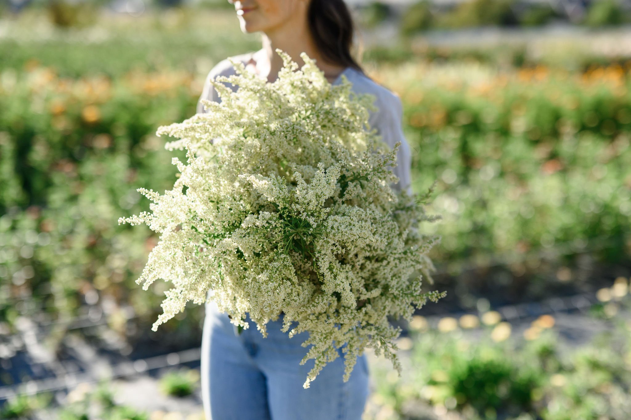 Planting Roots — Wasatch Blooms