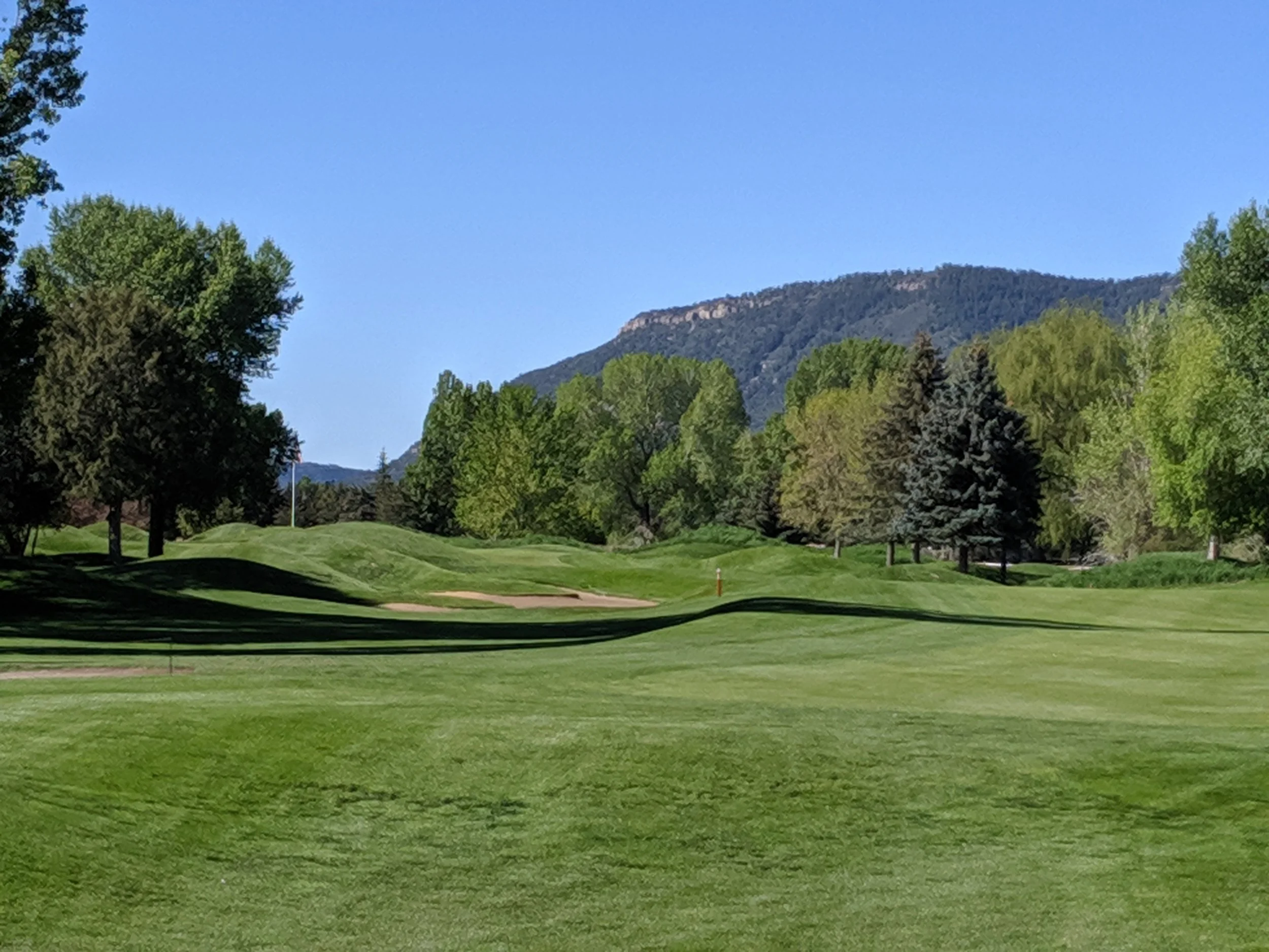 Home [www.daltonranch.com]