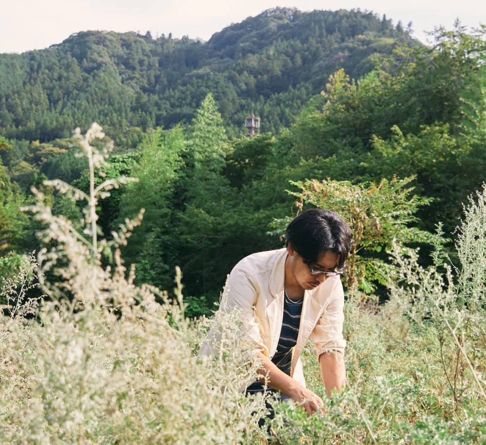 Scarlet Iseya — HIGH ROAD SPIRITS®