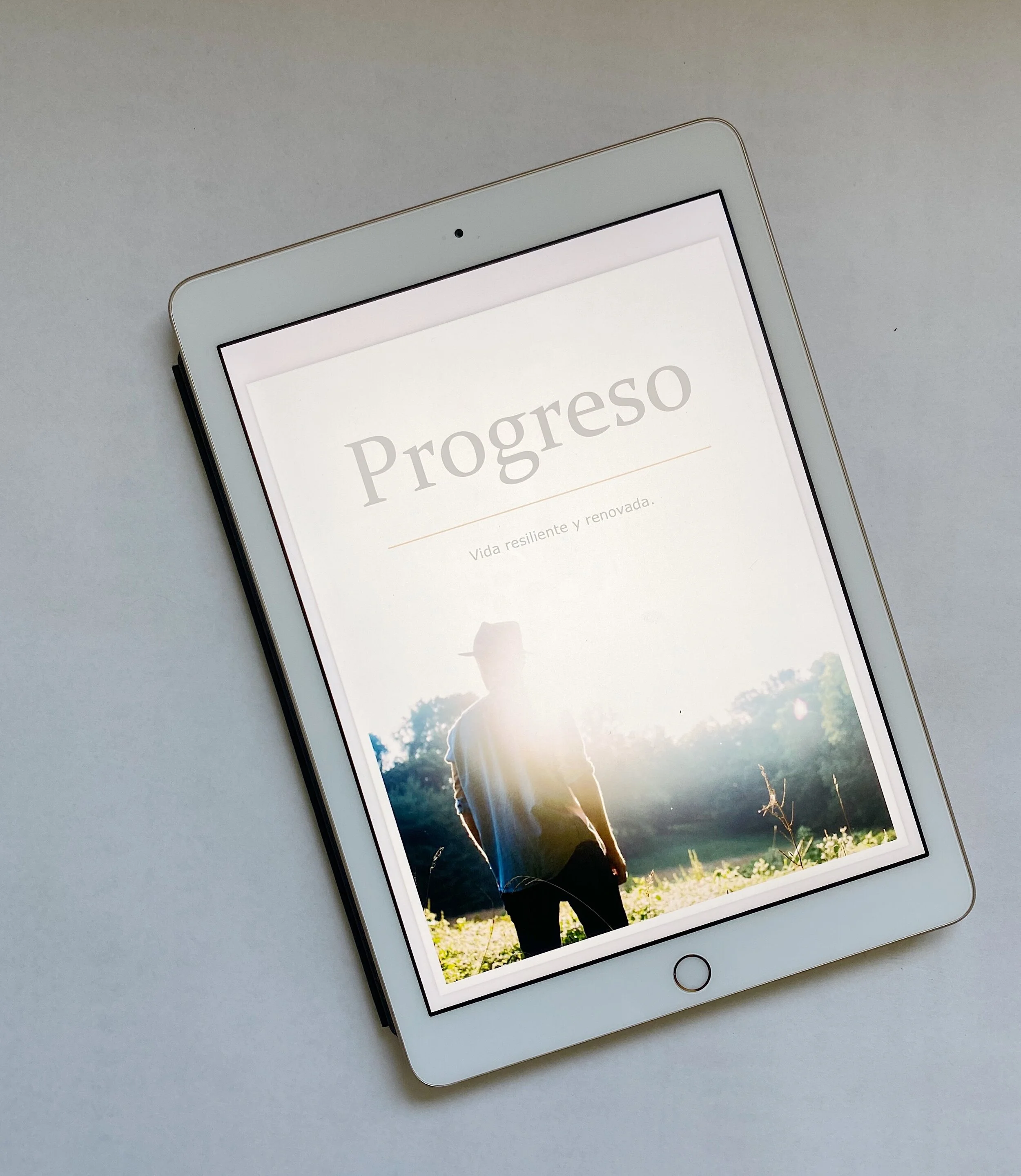 Christian Mental Health Curriculums — Mental Health Grace Alliance