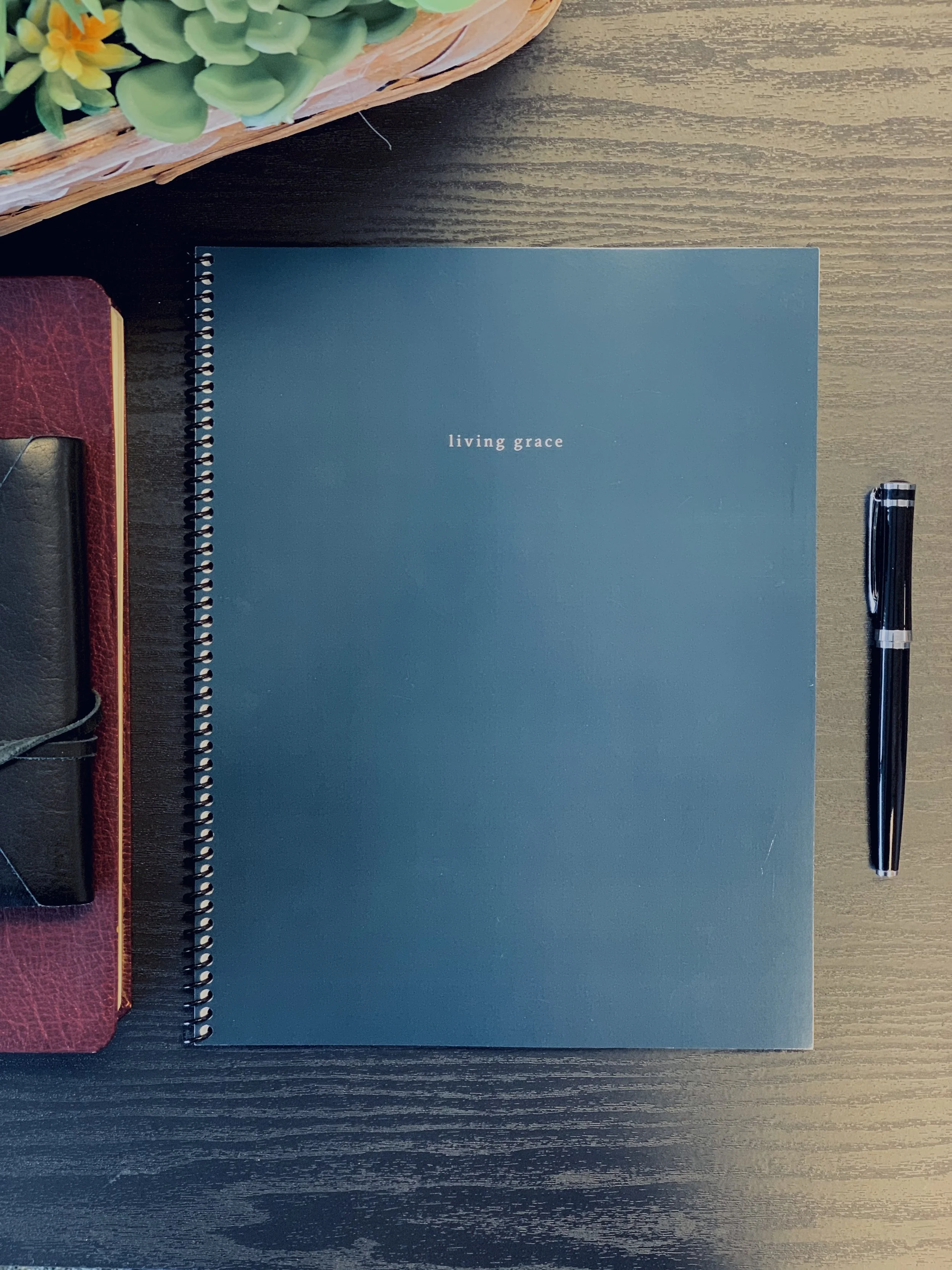 Christ-centered healthy minds - The Grace Alliance