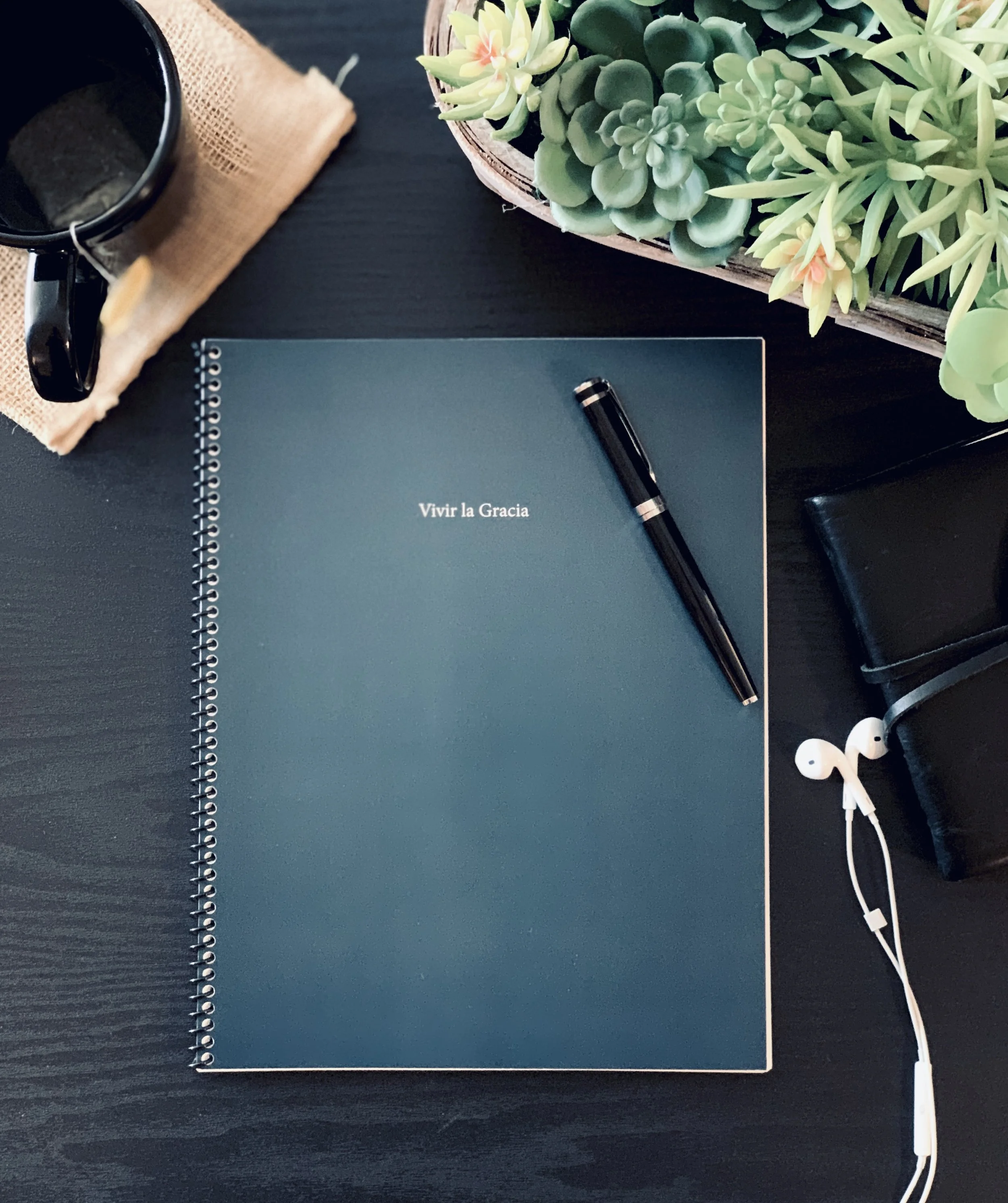 Christ-centered healthy minds - The Grace Alliance