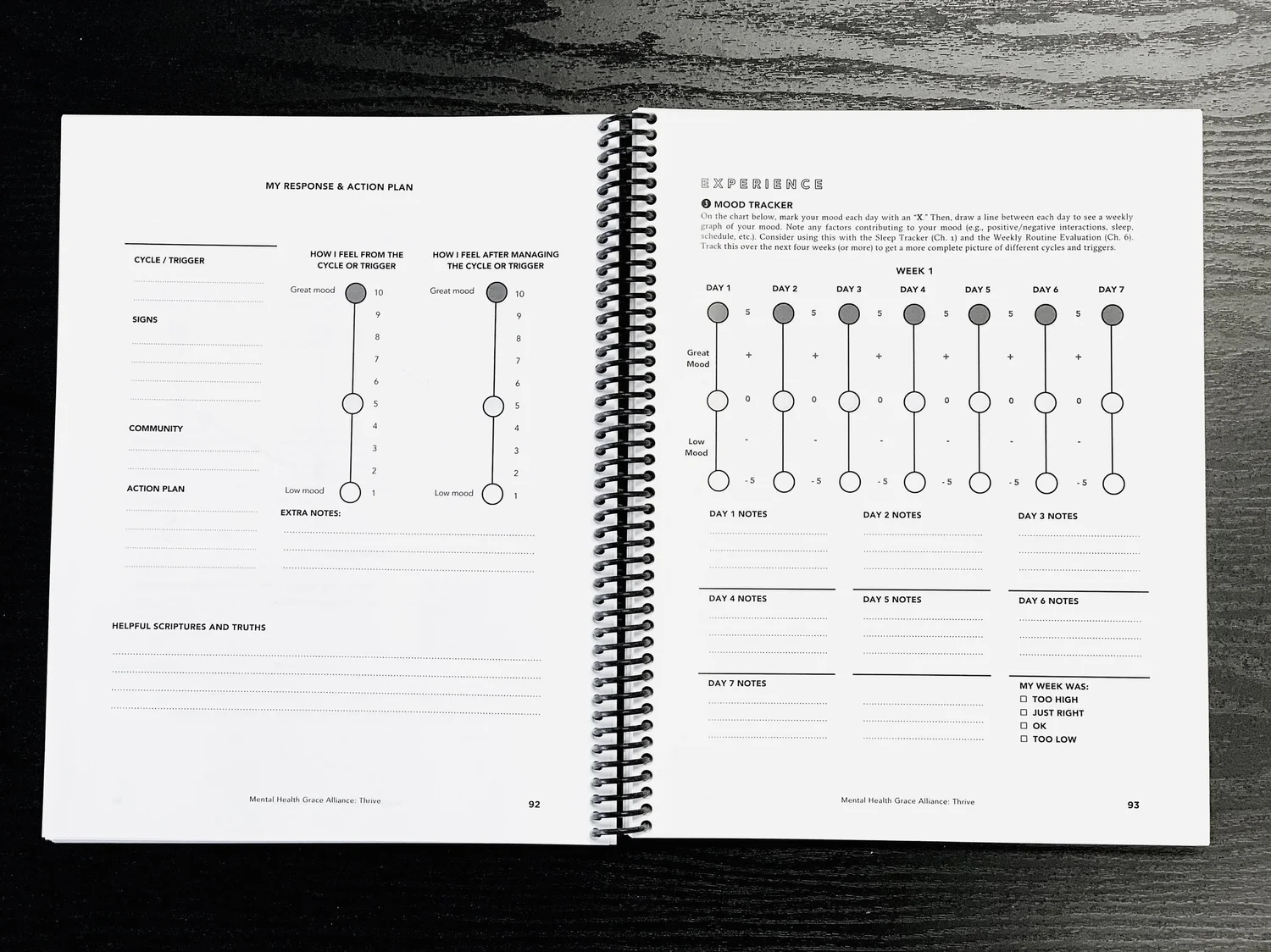 Christ-centered healthy minds - The Grace Alliance
