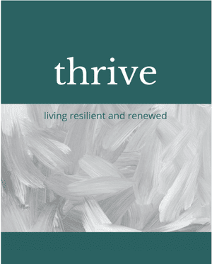 Christ-centered healthy minds - The Grace Alliance