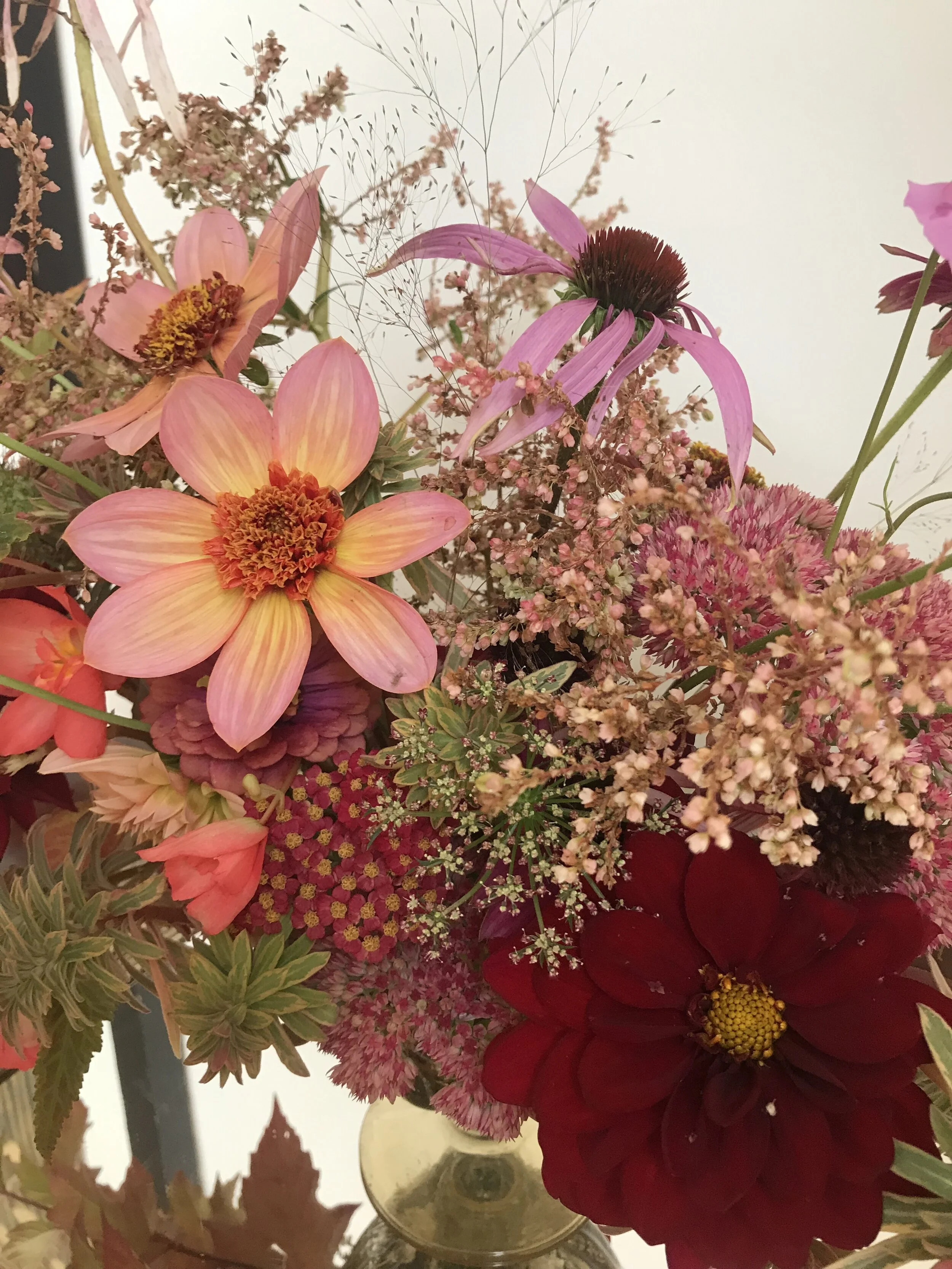 prairie girl flowers