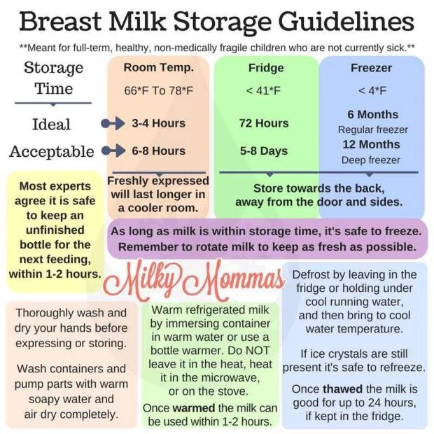 Breastmilk And Formula Storage Guidelines PRINTABLE For | lupon.gov.ph