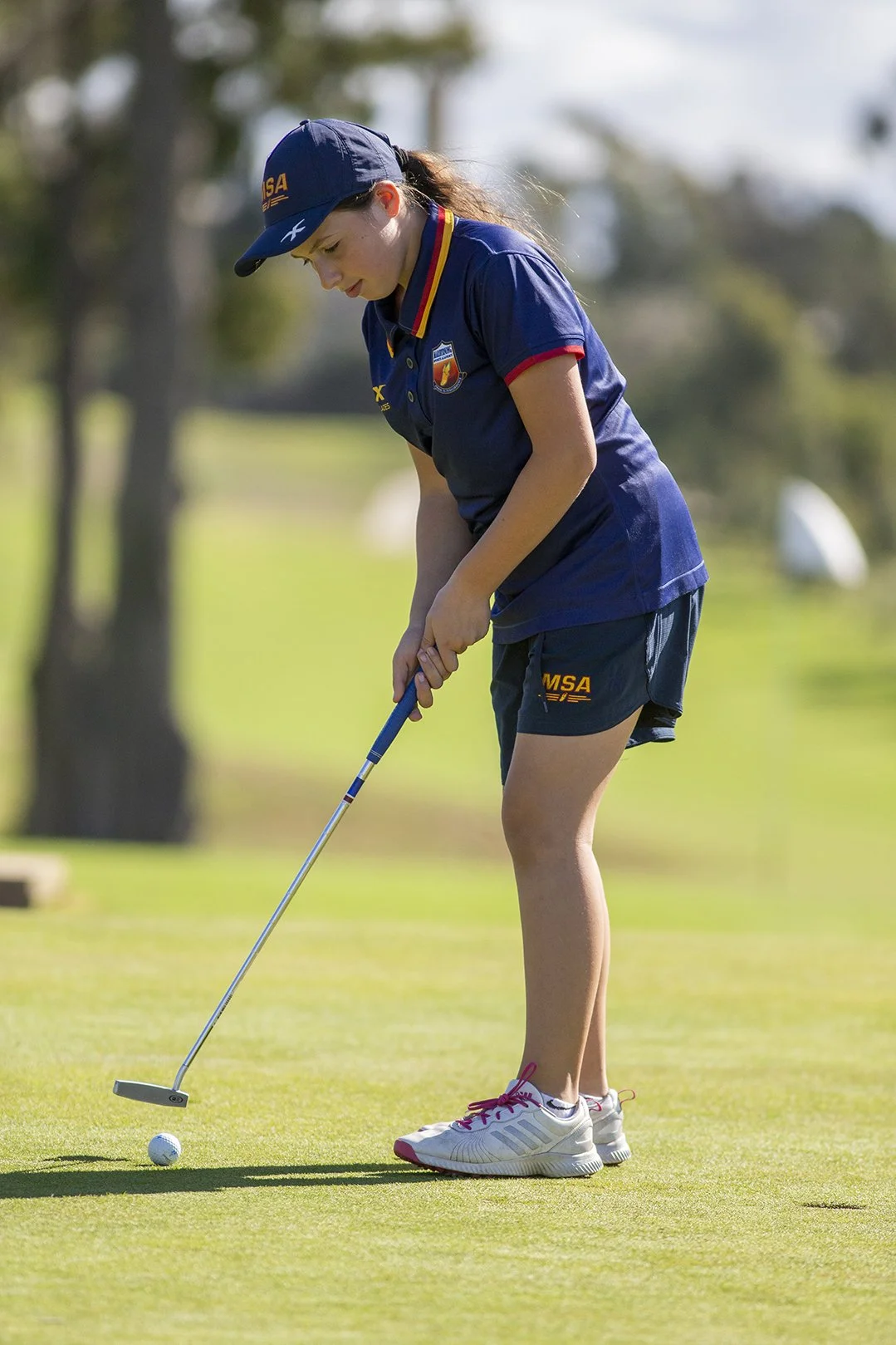 Golf — MSA