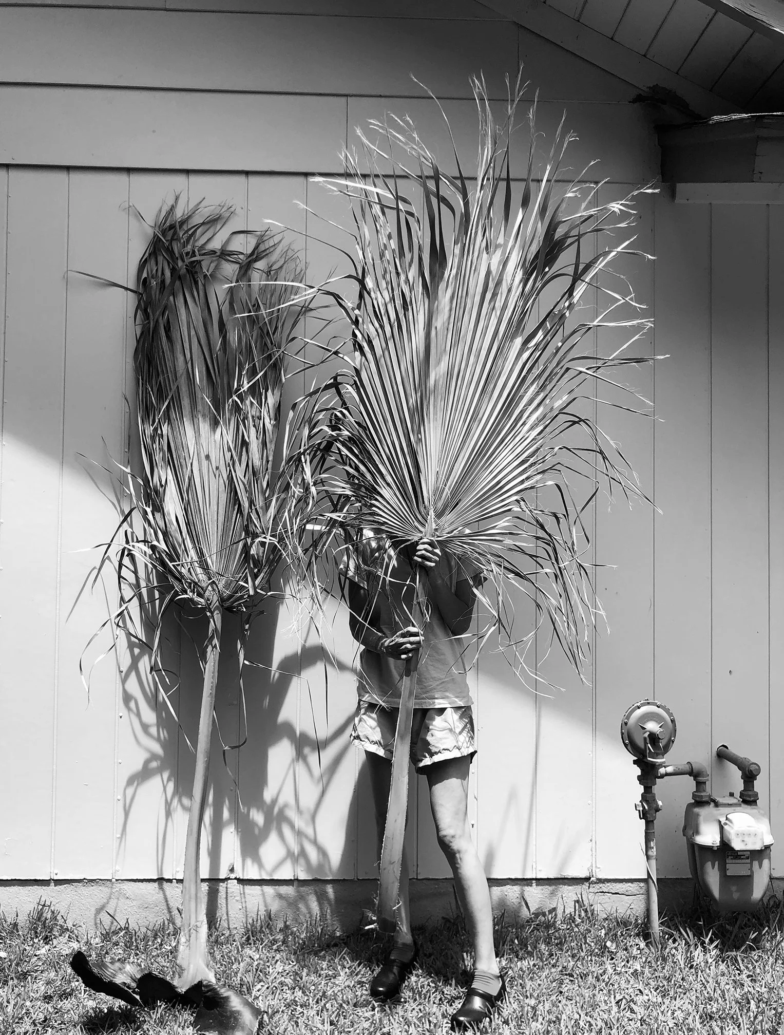 About — EMILY WEISKOPF