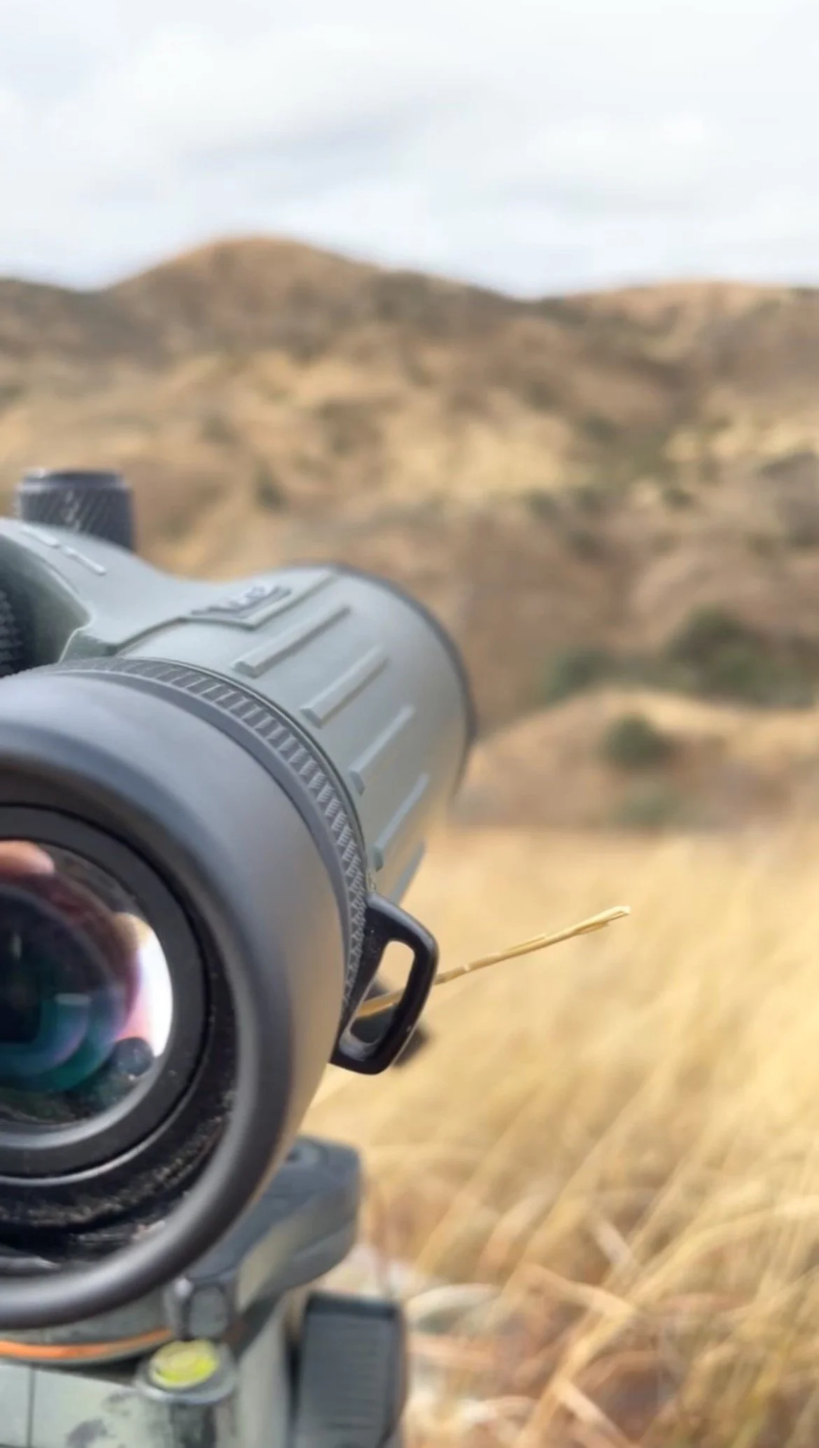 Simulated Hunt: A Day in the Field — Core Dynamics