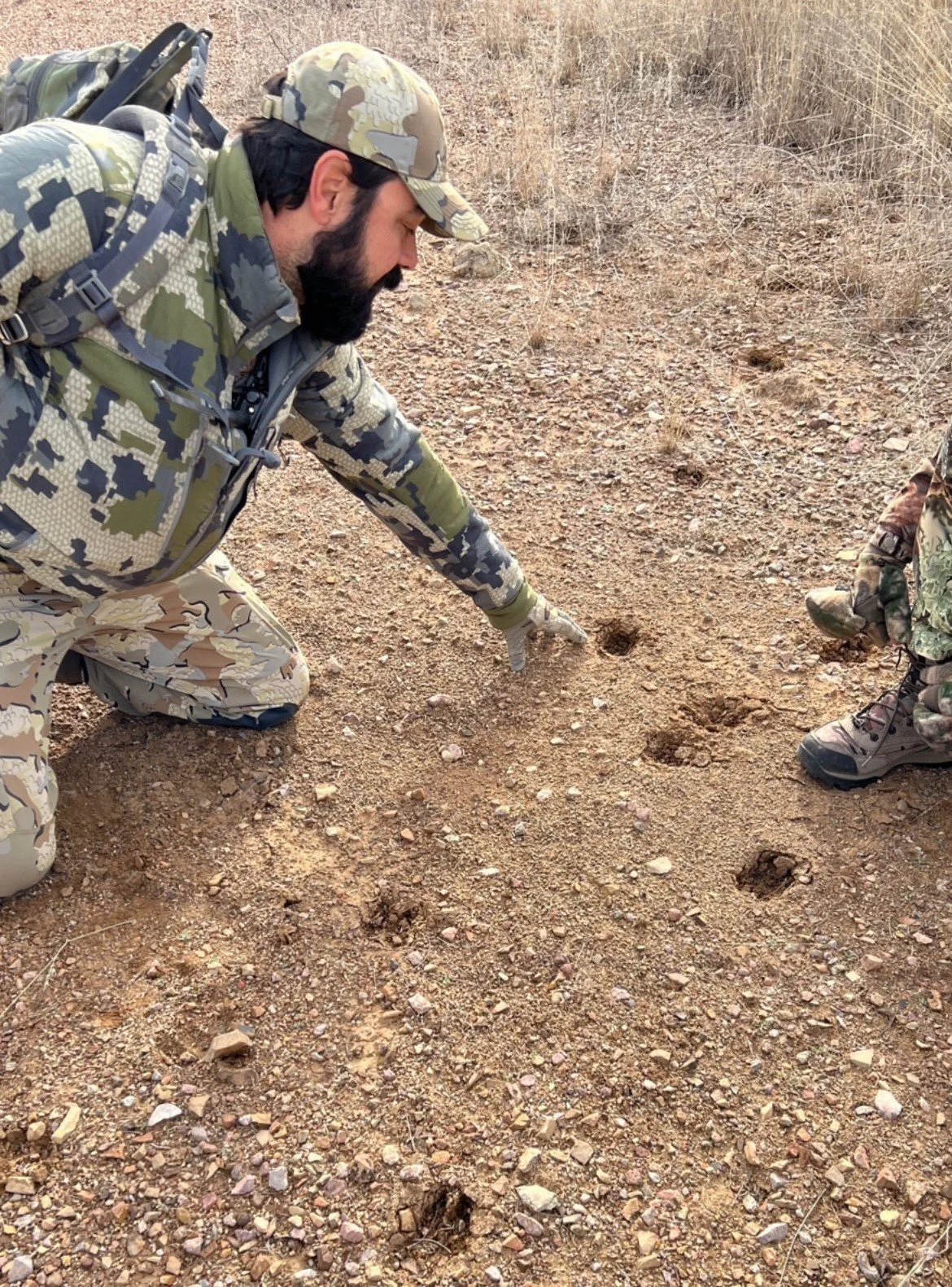 Simulated Hunt: A Day in the Field — Core Dynamics