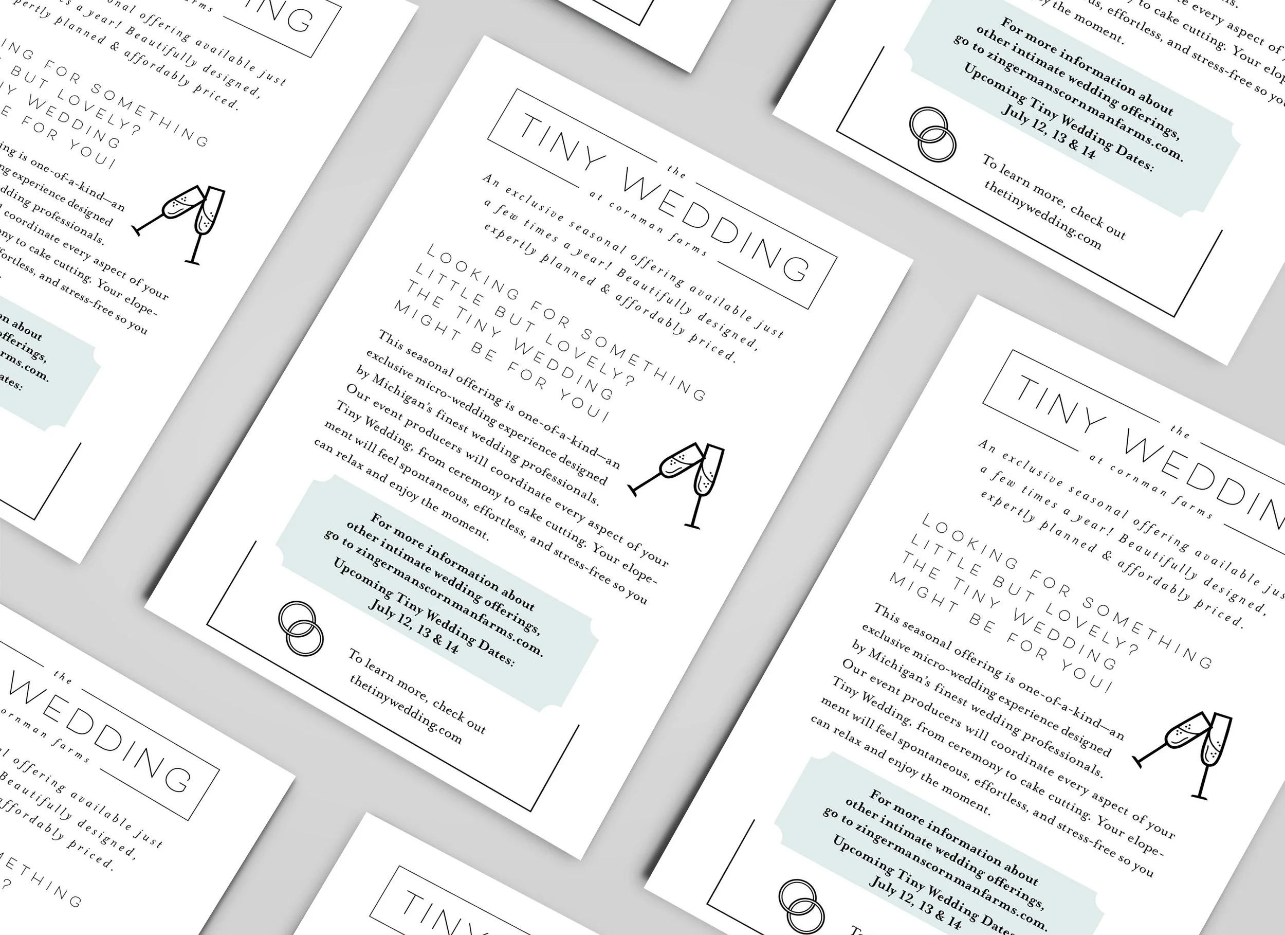Campaign Tiny Wedding — Nicole Robichaud