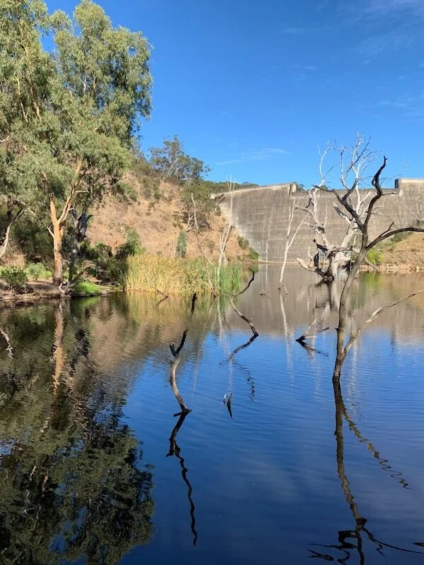 Sturt a ‘gorge-ous’ pick for Park of the Month — The 'Cherry Chatter'