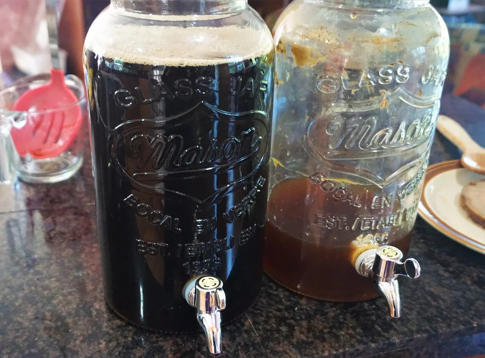 A Beginner's Guide to Brewing Kombucha — The Gut Nursery