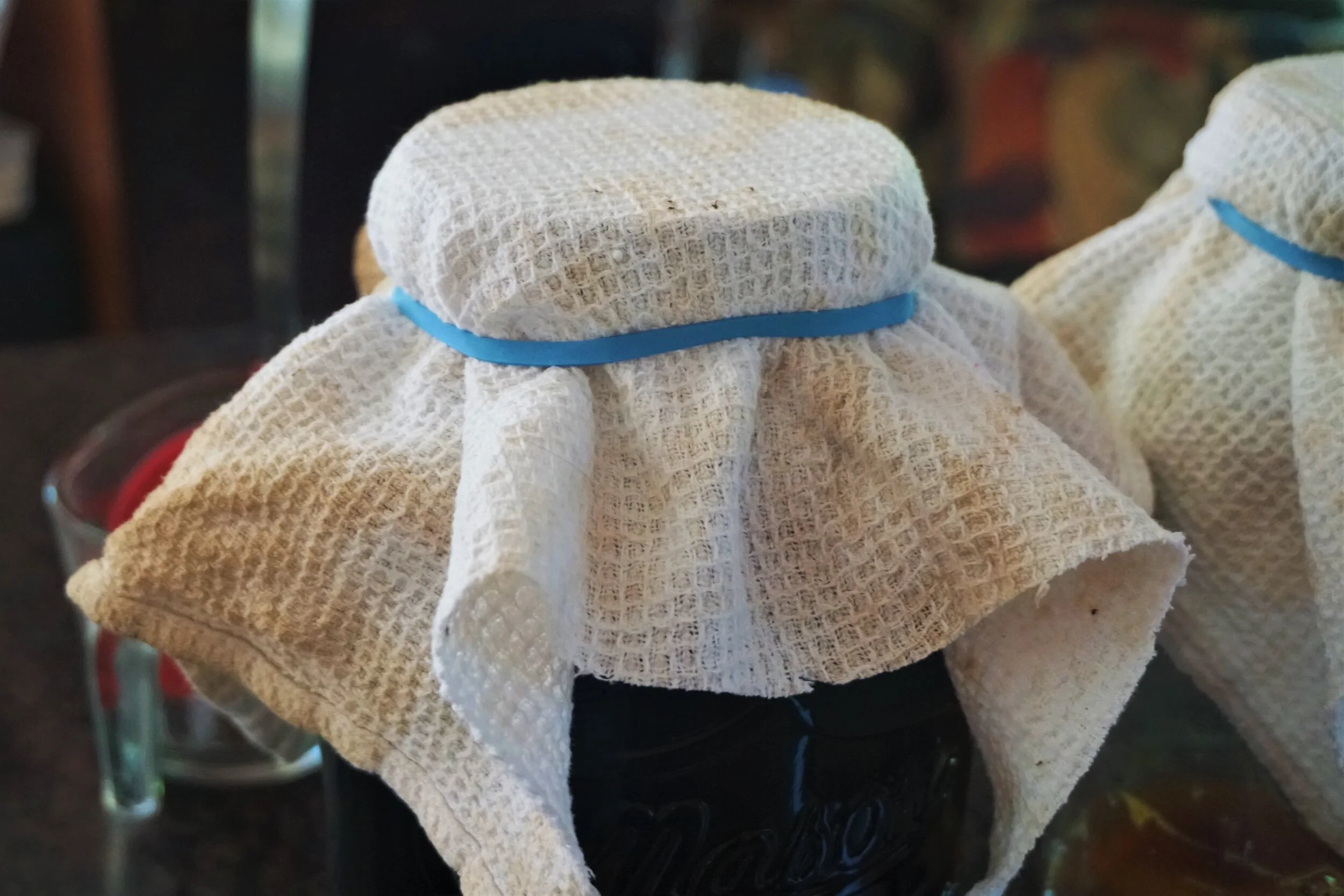 A Beginner's Guide to Brewing Kombucha — The Gut Nursery