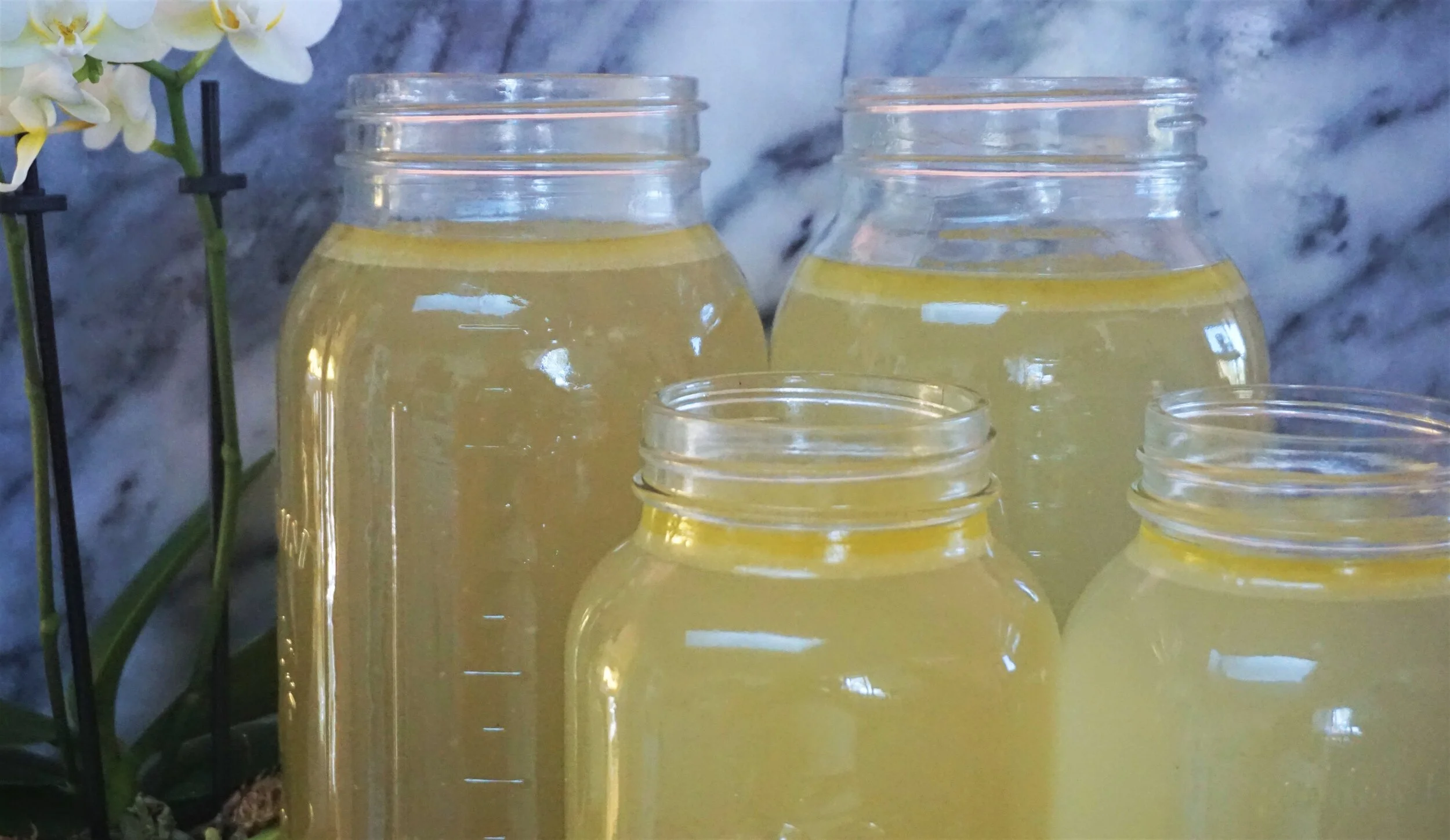 Easy Homemade Chicken Broth — The Gut Nursery