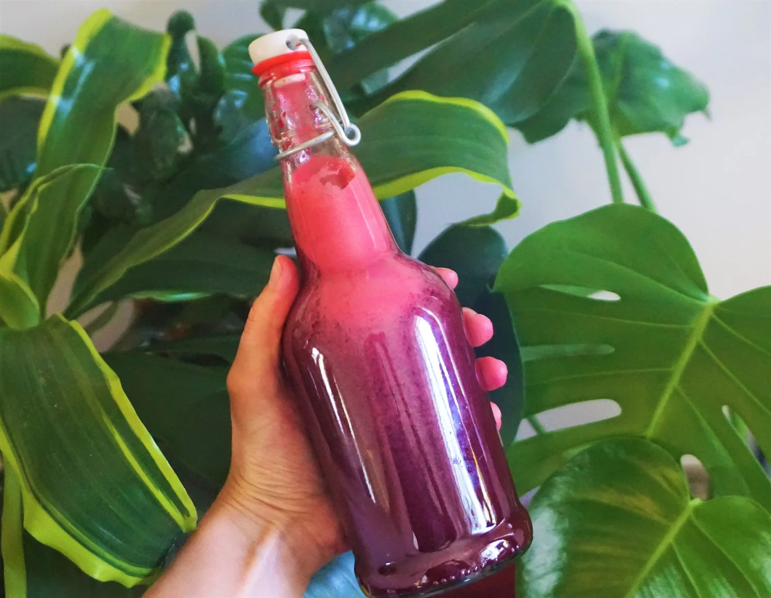 Antioxidant-Rich Beet & Blood Orange Juice — The Gut Nursery