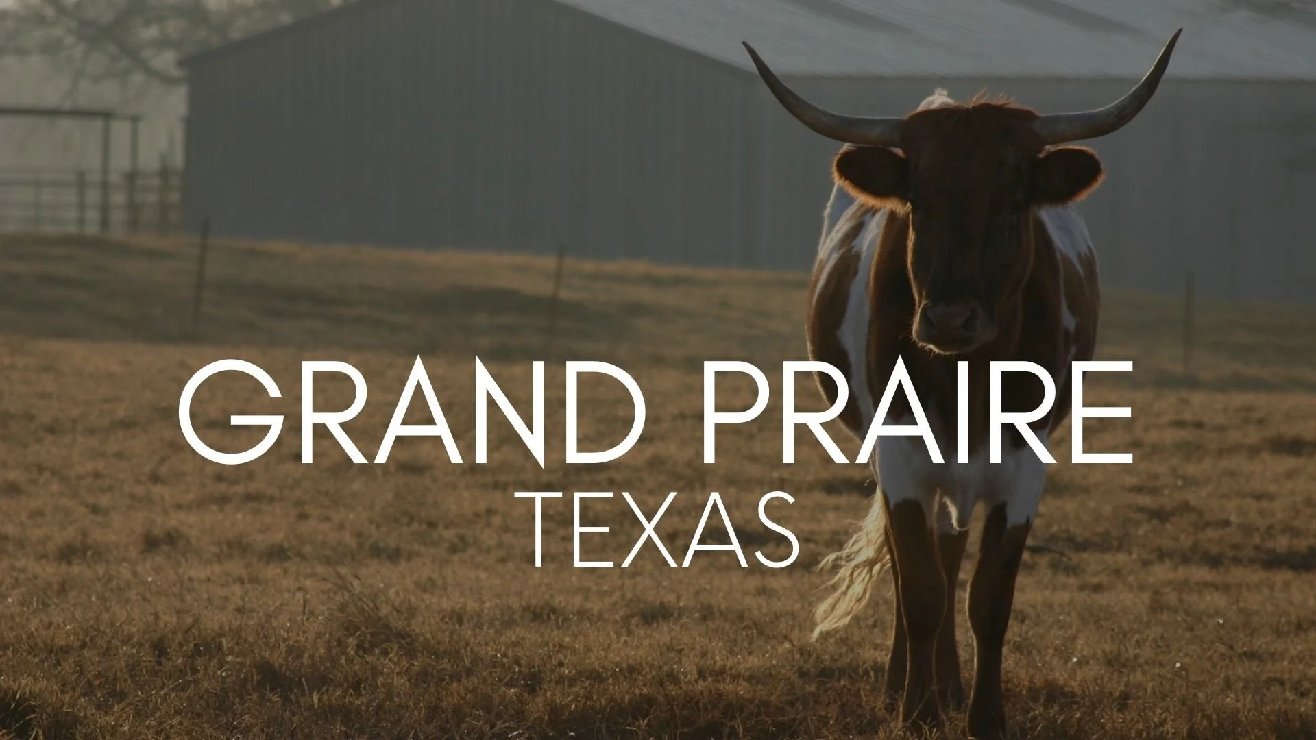 Schedule — Matt Cruz Ministries