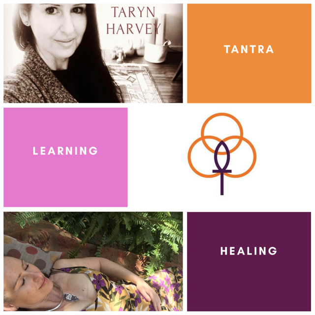 Taryn Harvey — About Taryn