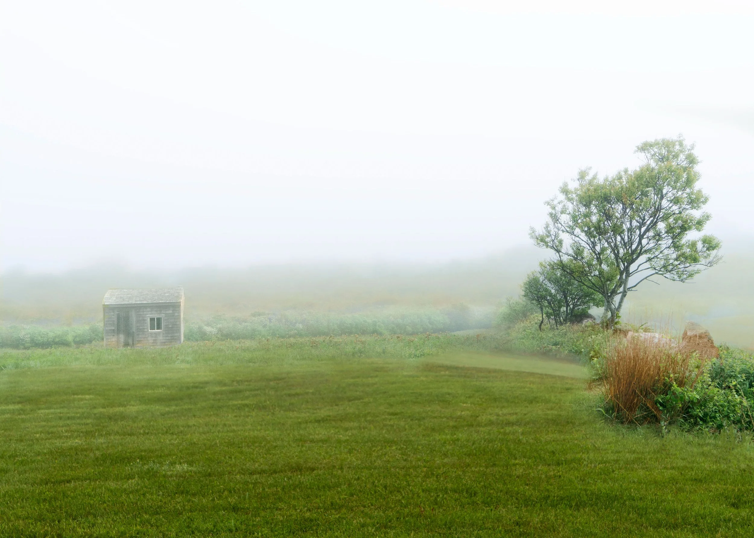 Member Artists — The Spring Street Gallery