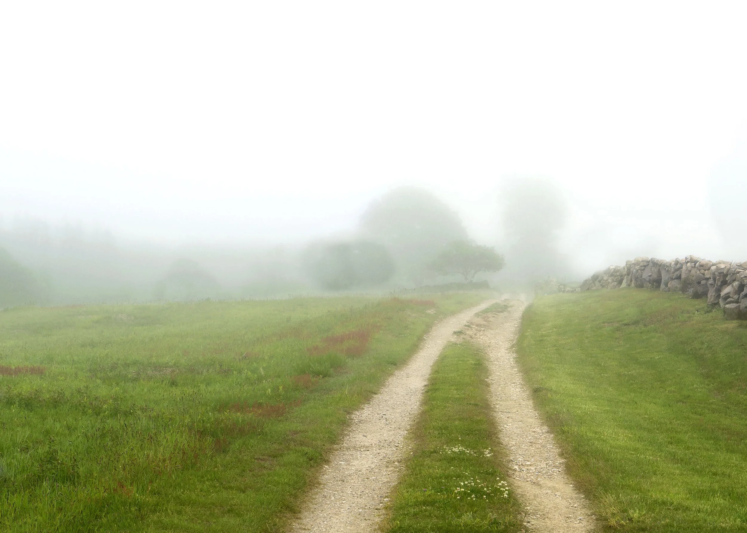 Member Artists — The Spring Street Gallery