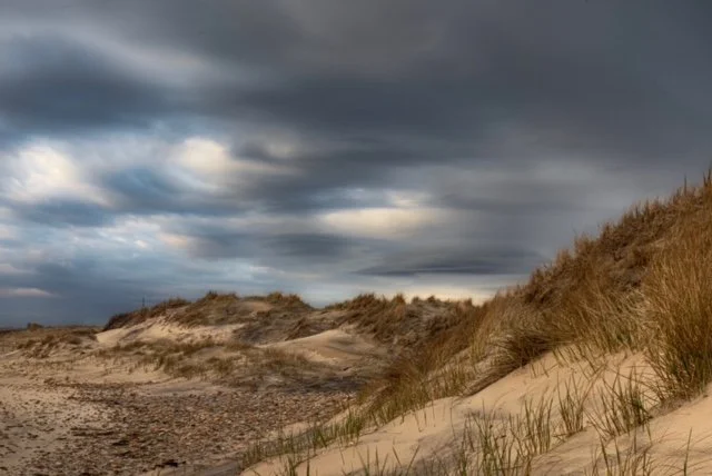 Member Artists — The Spring Street Gallery